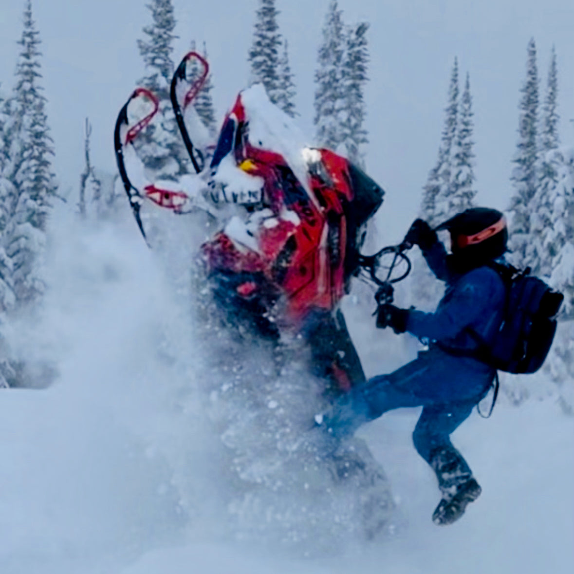 Hawk Motorsports Home